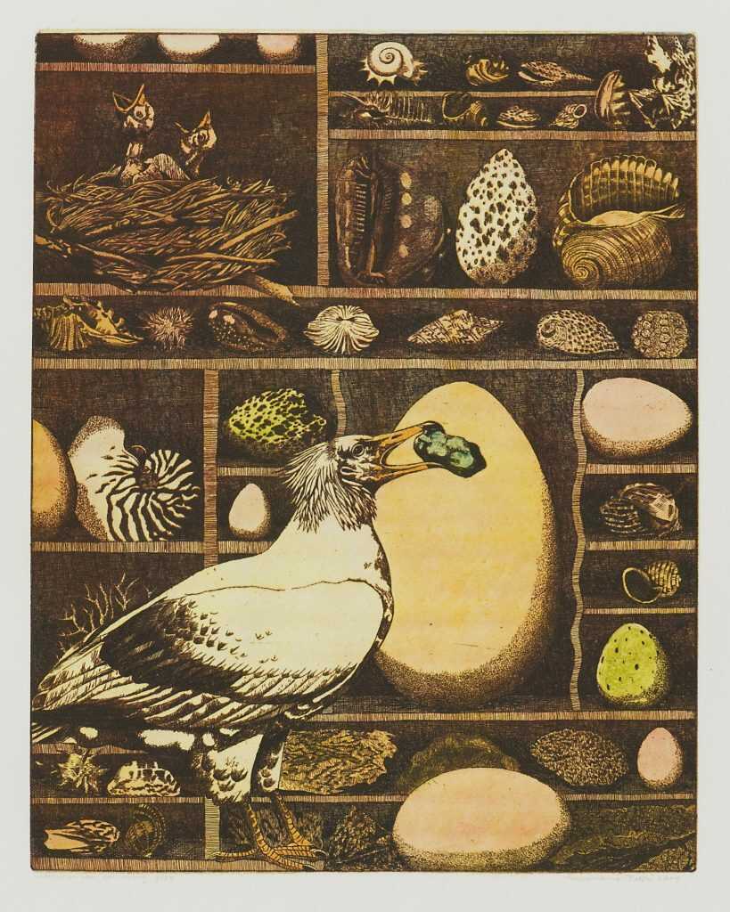 Interior of an oölogist | Childs Gallery