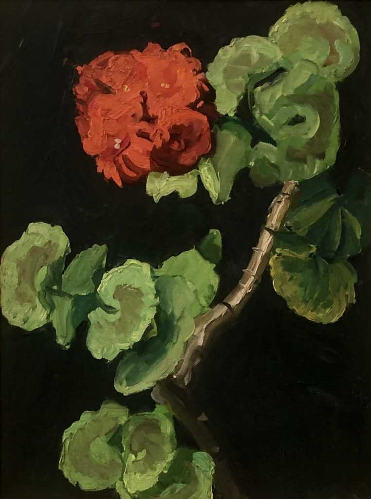 Stem of Geraniums | Childs Gallery